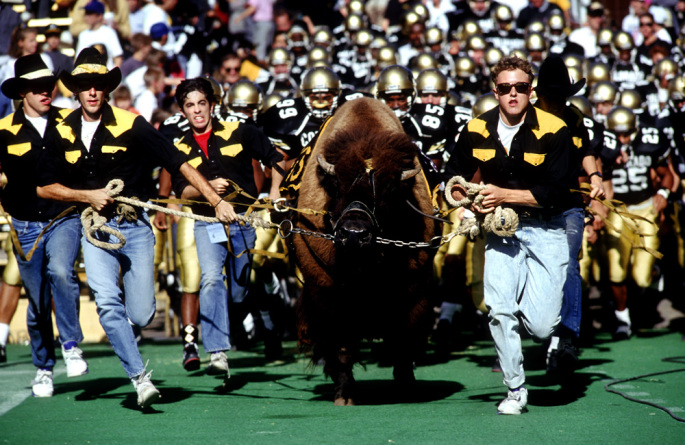 118 Looking Buff University of Colorado 1989 | Dave Black